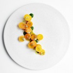 RONNY EMBORG - SELECTED DISHES | Bon Vivant